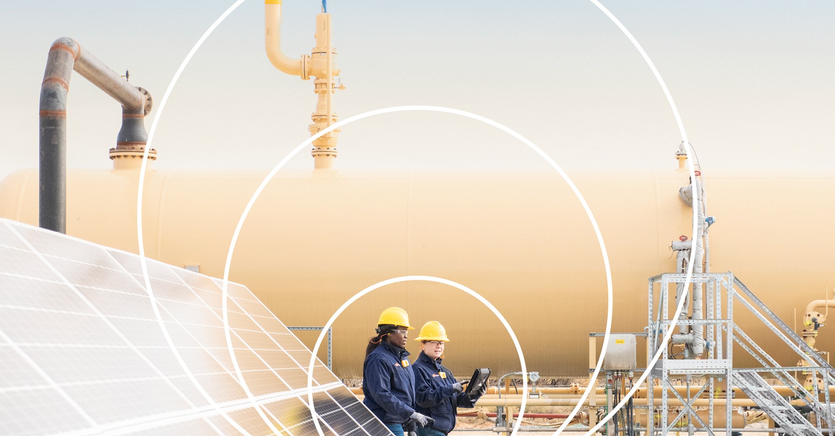 Shell sustainability: transition to net-zero | Friend Studio